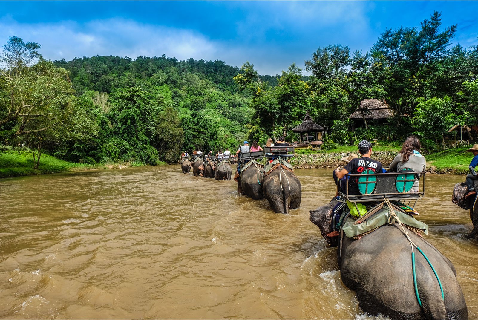 Maetaeng Elephant Park & Clinic | Chiang Mai, Thailand